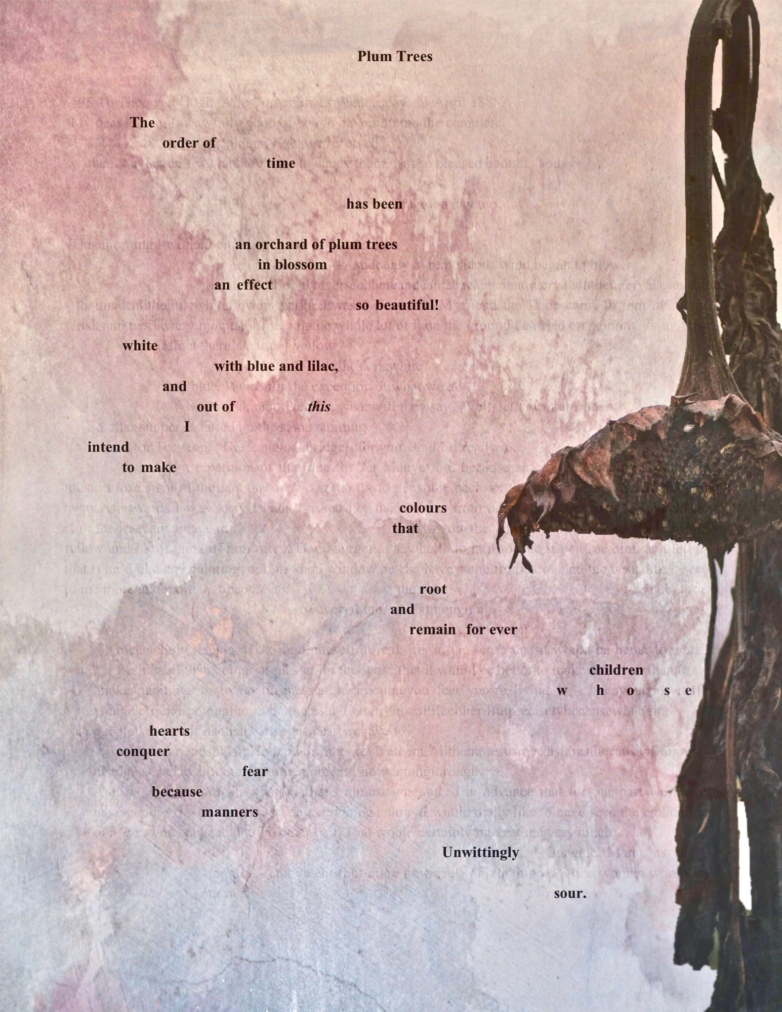 New Erasures Published in Aquifer, The Florida Review | banks of noon